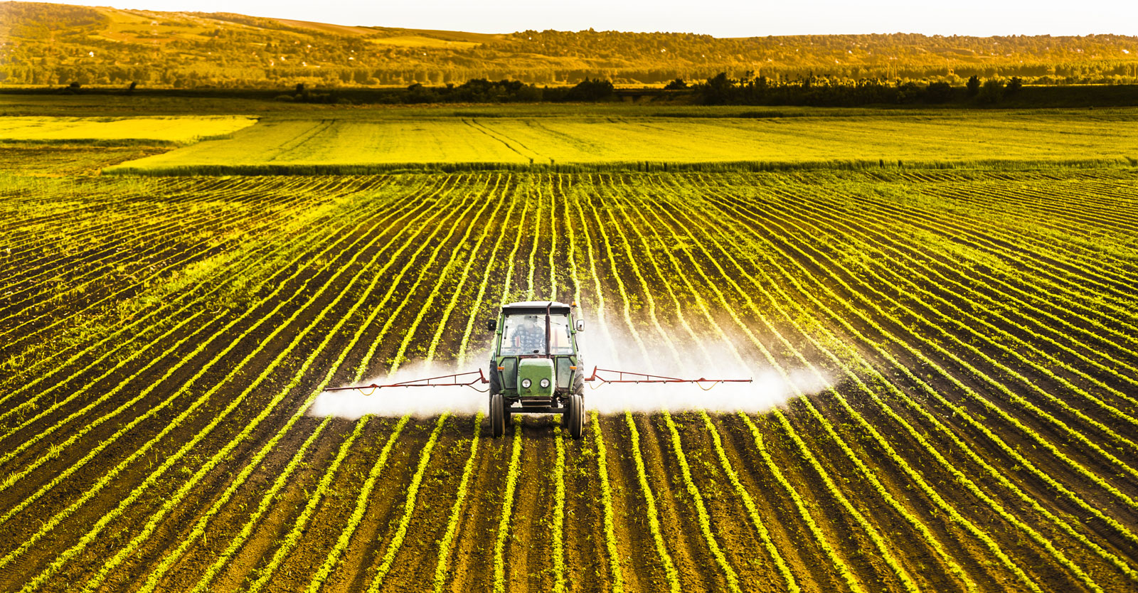 Organochlorine Pesticide Residue β-HCH Associated with an Increased ...